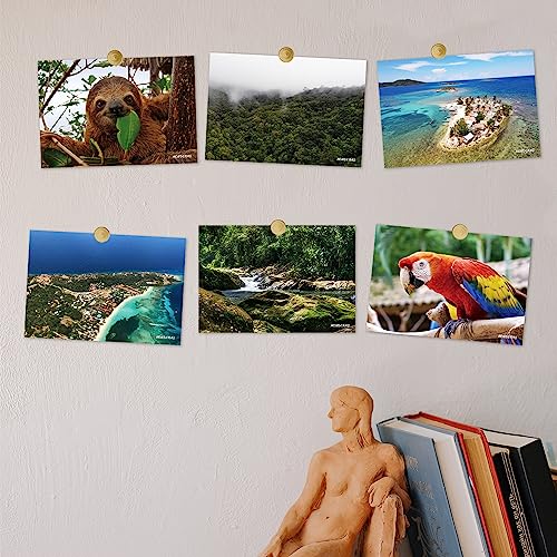 Dear Mapper Honduras Natural Landscape Postcards Pack 20pc/Set Postcards From Around The World Greeting Cards for Business World Travel Postcard for Mailing Decor Gift