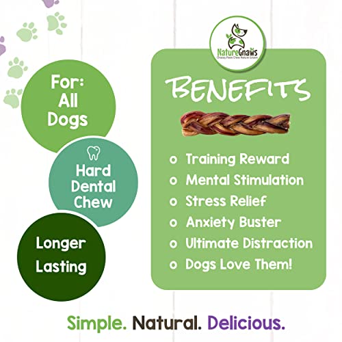 Nature Gnaws Braided Bully Sticks for Dogs - Premium Natural Beef Bones - Long Lasting Dog Chew Treats for Small and Medium Breeds - Rawhide Free - 6 Inch (3 Count)