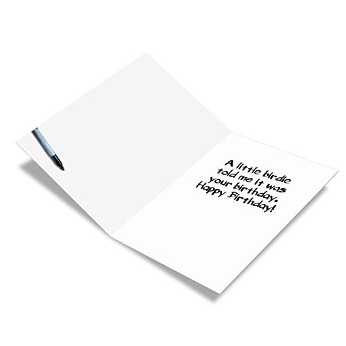 NobleWorks - 1 Happy Birthday Card with Funny Animals - Wildlife and Pet Humor, Fun Birthday Celebration Notecard - Empty Bird Feeder C2561BDG