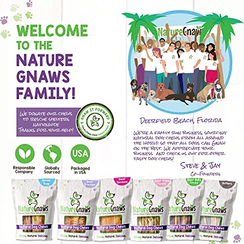 Nature Gnaws Small Bully Sticks for Dogs - Premium Natural Beef Bones - Thin Long Lasting Dog Chew Treats for Light Chewers & Puppies - Rawhide Free - 6 Inch (5 Count)