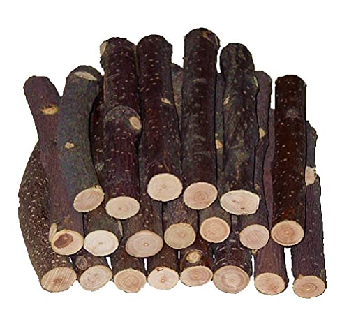 FarmerDavePetSupply 20 Apple CHEW Branches for Small Animals
