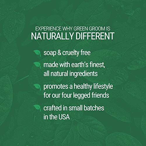 Green Groom Odor Eliminator Dog Shampoo, 1 Gallon - Crafted with Odortrol, All Natural Ingredients, Antioxidant Rich, Eliminates Smelly Pet Odors, Powerful Deodorizing Formula, Professional Grade