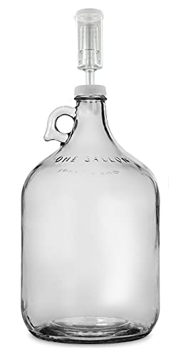 FastRack Glass Wine Fermenter Includes Airlock, 1 gallon Capacity, clear (B00BEYREIW), 1 Count (Pack of 1)