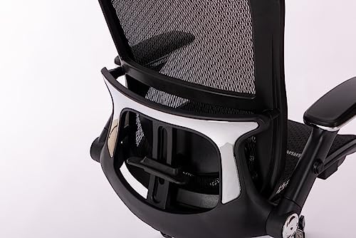 Office Chair, High Back Ergonomic Desk Chair, Breathable Mesh Desk Chair with Adjustable Lumbar Support and Headrest, Swivel Task Chair with Armrests, Executive Chair for Home Office (Black)