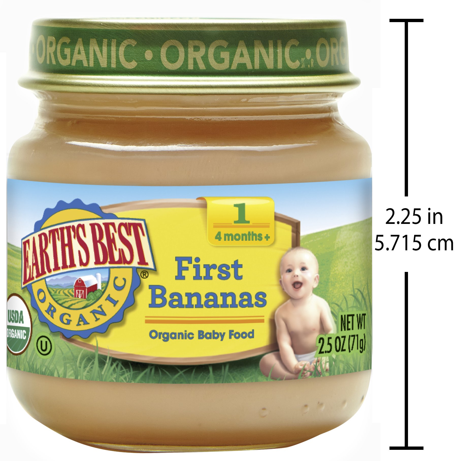 Earth's Best Organic Stage 1 Baby Food, First Bananas, 2.5 oz. Jar