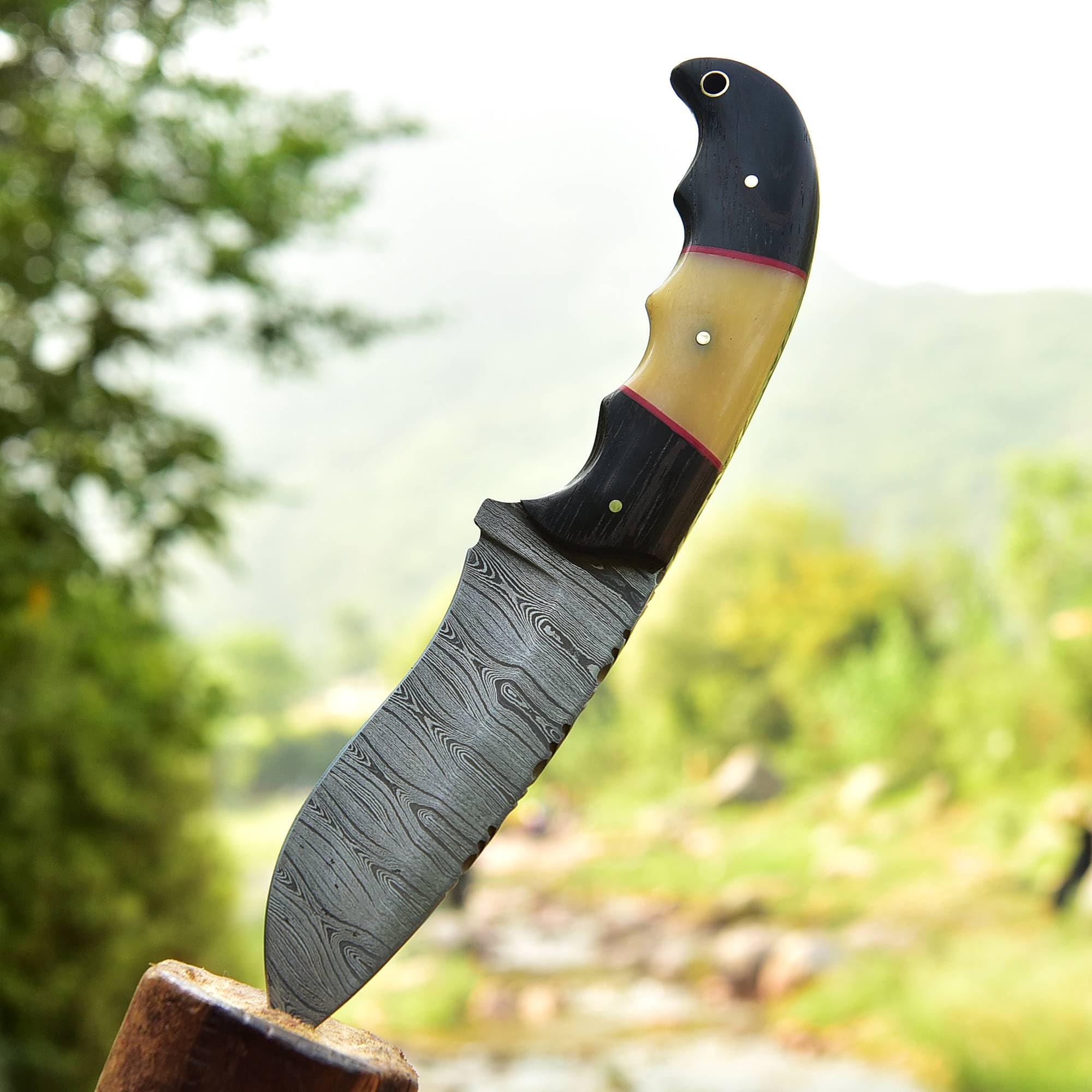 AA Knives 9.25 Inch Handmade Damascus Steel Fixed Blade Hunting knife with Leather Sheath β Perfect for Hunting and Survival with Wenge Wood & Camel Bone Handle