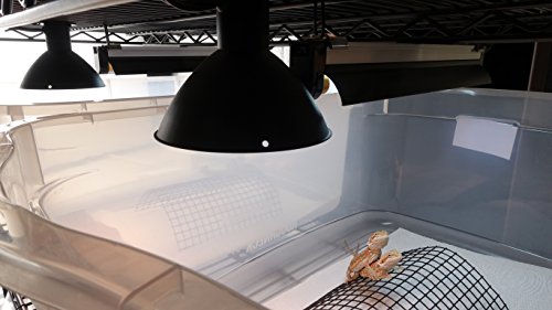 Carolina Custom Cages Reptile GU10 Halogen Dome Fixture with 54" AC Cord and Switch