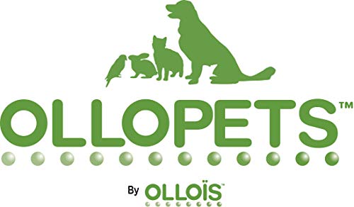 OLLOPETS Infection, Organic Homeopathic Remedy for Pets, 1 Fl Ounce