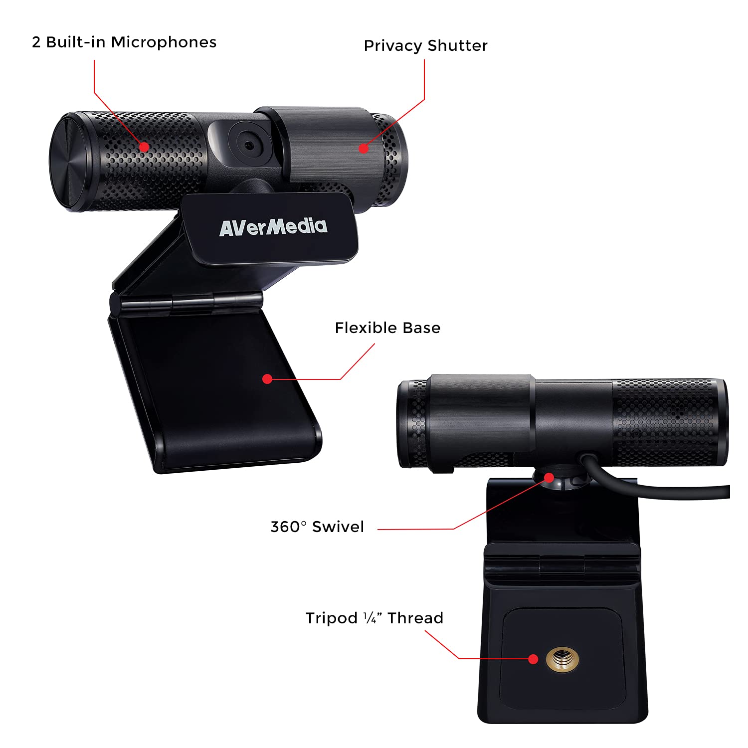 AVerMedia Live Streamer Cam 313 - Full HD 1080P Webcam with Privacy Shutter, Dual Microphone, 360 Degree Swivel for Video Conference - NDAA Compliant (PW313)