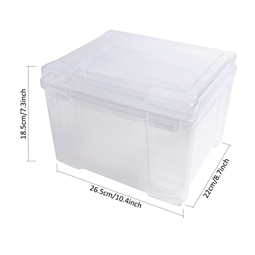Greeting Card Organizer with Dividers