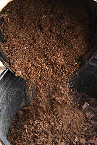 Organic Sphagnum Peat Moss by Perfect Plants - Absorbs Essential Nutrients When Added to Soil and Enriches Plant Roots - Indoor and Outdoor Use (8qts.)
