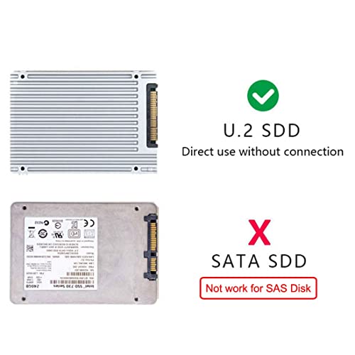 chenyang SFF-8643 to U.2 SFF-8639 Cable with SFF-8643 to NGFF Adapter for Mainboard U.2 SSD 750 P3600 P3700