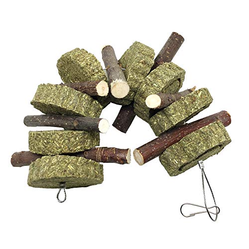 Shelltech Rabbit Chew Toys, Apple Twigs with Timothy Cakes Hanging Toys for Bunny, Rabbits, Chinchilla, Guinea Pigs, Hamsters (Timothy Cake - 2 Pack)