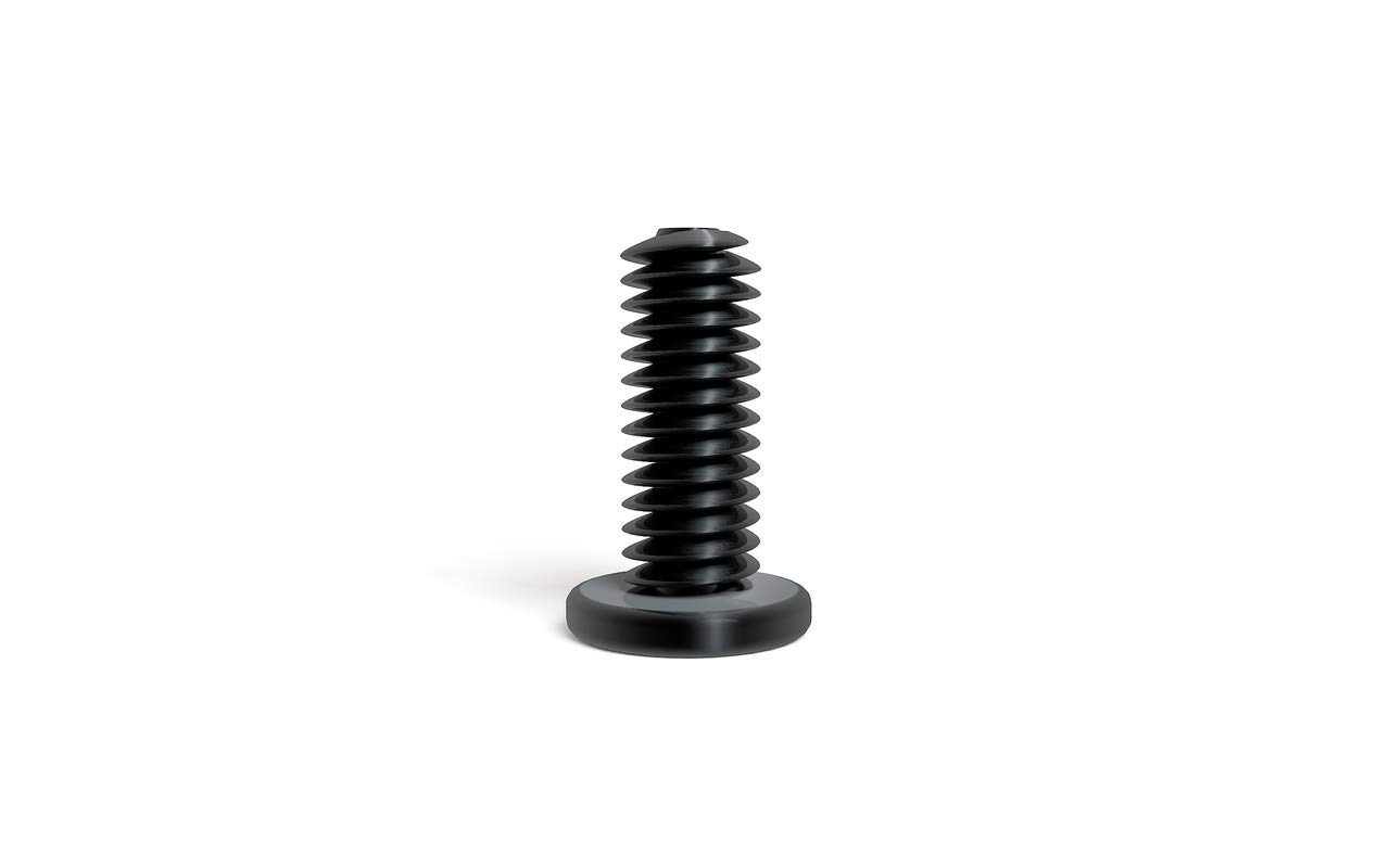 RapidSparesLtd Pack of 500 M2.5x6.5 New Black Zinc Wafer Head Laptop Machine Screw Philips Head