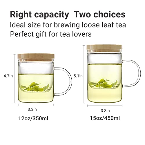 emoi Glass Tea Cup with Infuser and Lid, 15oz/450ml Tea Mug with Tea Steeper and Bamboo Lid, Easy to Use, Ideal for Tea Lover to Make a Great Cup of Tea at Home or Office