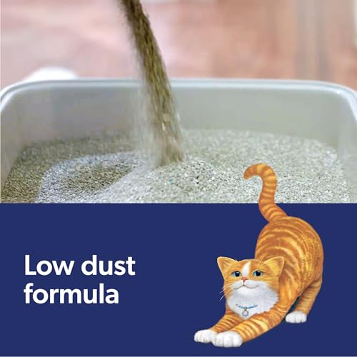 Fresh Step Outstretch, Clumping Cat Litter, Advanced, Unscented, Extra Large, 32 Pounds total (2 Pack of 16lb Boxes)
