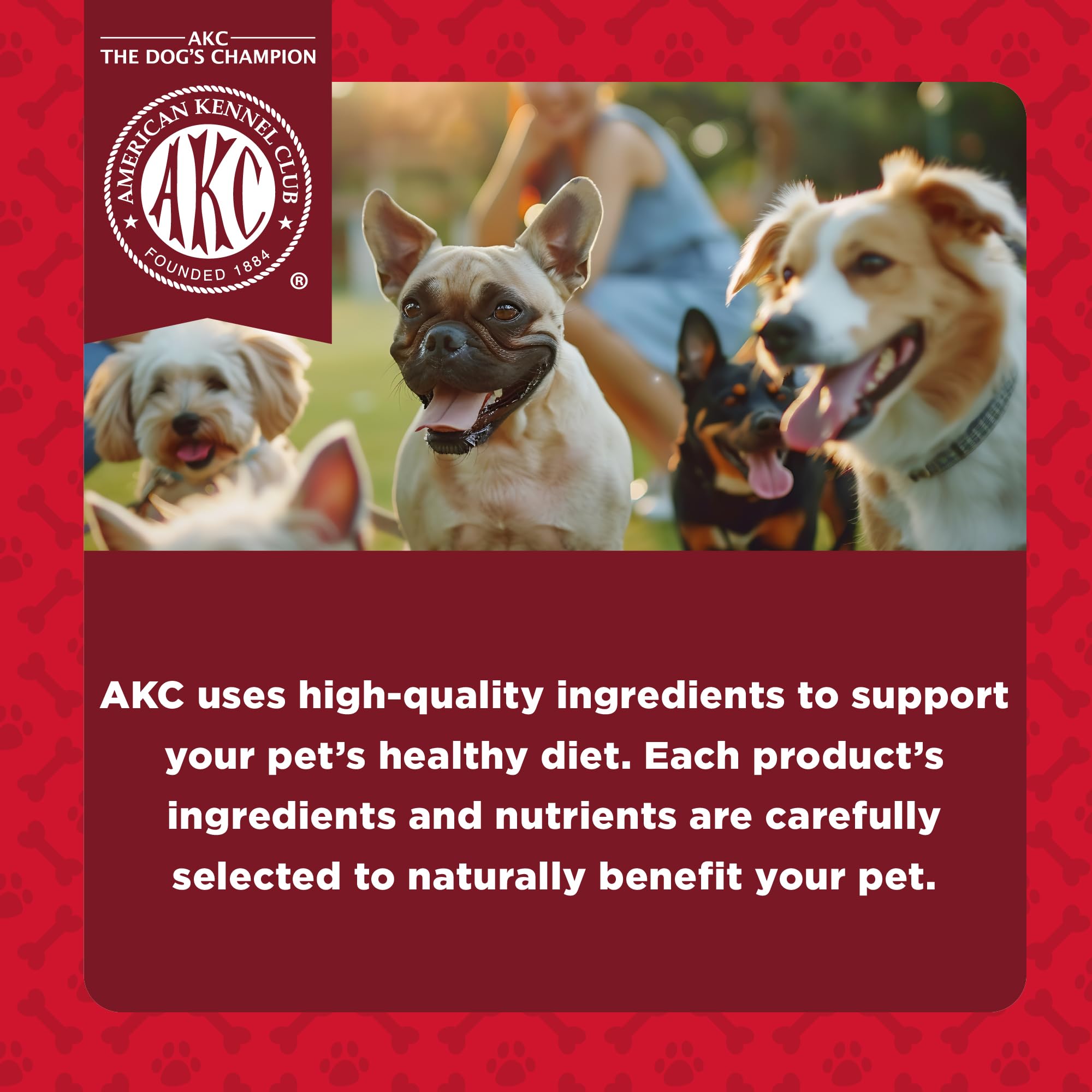 American Kennel Club Chewy Chews Small Breed Long-Lasting Chicken Flavor Dog Chews, Naturally Flavored, Helps Remove Tartar, 10 Count