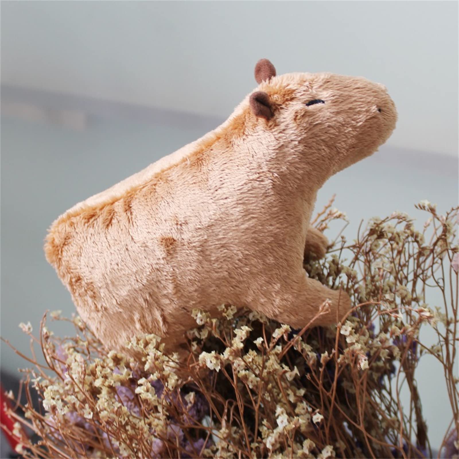fokesty Capybara Stuffed Animal, Capybara Plush Cute Stuffed Animal, Birthday Girl Stuffed Animal