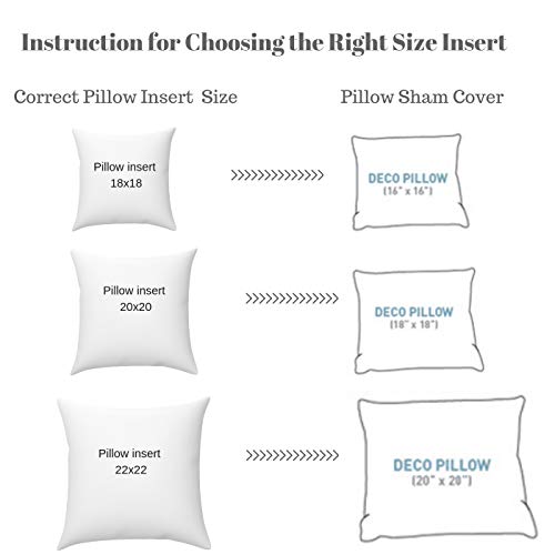 Pack of 4 20x20 Pal Fabric Soft Cotton Feel Microfiber Square Pillow Insert for Sham or Decorative Pillow Made in USA (20x20)