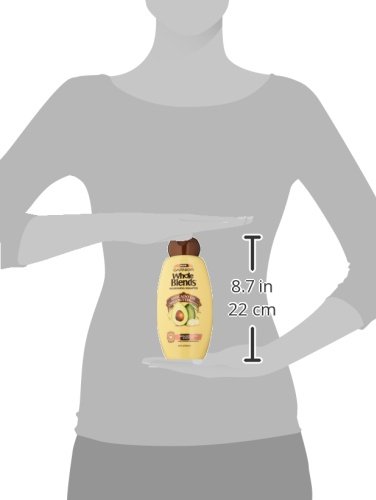 Garnier Whole Blends Nourishing Shampoo with Avocado and Shea Butter Extracts for Dry Hair, 22.0 Fl Oz