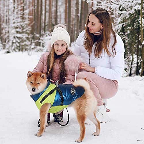 BAEJMJK Dog Reflective Winter Coat with Harness Warm Cold Weather Jacket for Small Medium Dogs Zip Up Turtleneck Puppy Vest with D-Ring Waterproof Windproof Dog Winter Clothes(Blue,2X-Large)