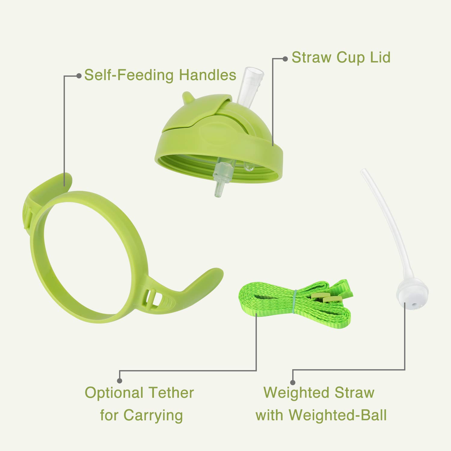 Weighted Straw Sippy Cup Conversion Kit, Compatible for Comotomo Baby Bottle, 5 Ounce and 8 Ounce (2 Packs, Green)