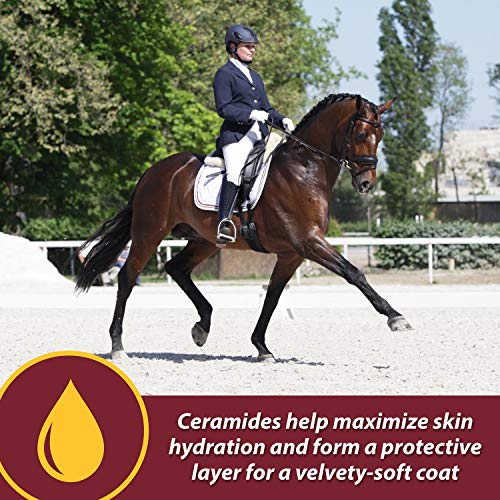 Farnam Laser Sheen Skin & Coat Supplement for Horses, Promotes Healthy Skin & Radiant Coat from The Inside Out, 7.5 Pound, 60 Day Supply