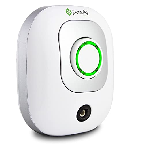Greentech Environmental pureAir 50 - Portable Air Purifier and Air Cleaner, Air Purifiers for Home, Office, and Bedroom, For Spaces Up to 325 Square Feet, Neutralizes Tough Odors, Easy Set Up