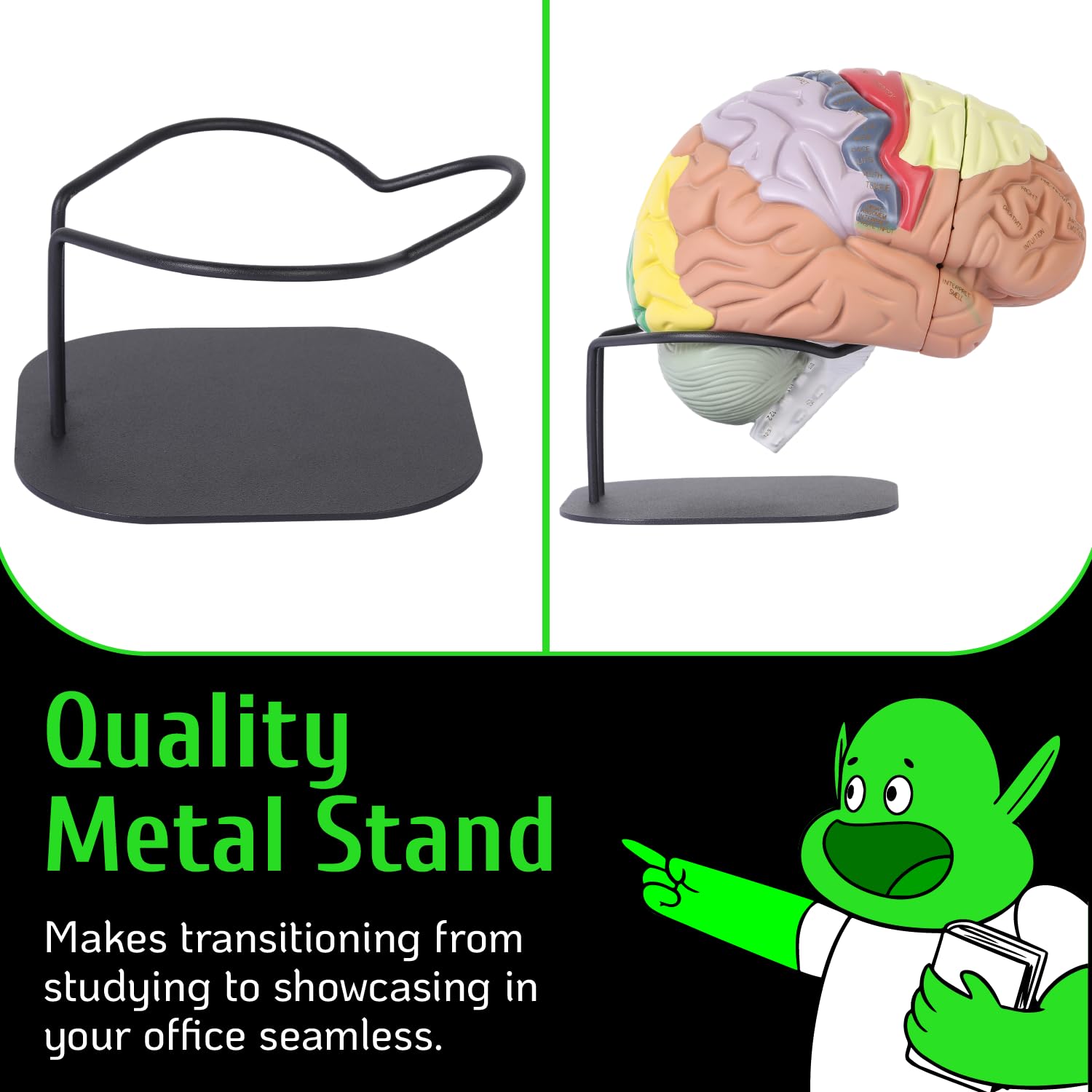 Geekidoc Human Brain Model with Laser-Engraved Numbers and Labeling | Includes Sturdy Metal Stand, Lightweight Carrying Case and Magnetic Dissections | 2x Life-size Human Brain Anatomy Model