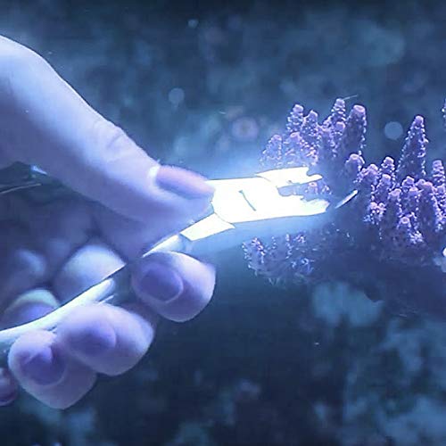 DR Instruments 10FK Ultimate Coral Fragging and Coral Propagation Kit for Reef Hobbyists - 19 Pcs, Rollup case, Stainless Steel Instruments