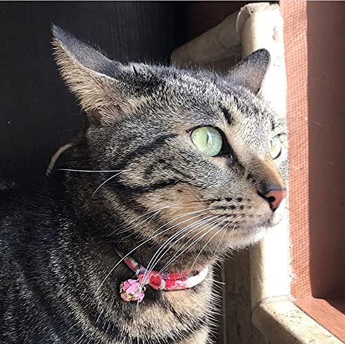 PetSoKoo Four-Leaf Clover Cat Collar with Bell Breakaway Buckle. Japan Chirimen,Cute Kitten Collar for Girl Boy,Samll Cat,Pink