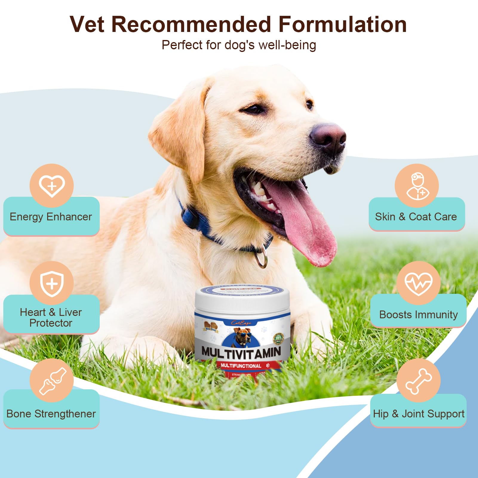 ColEaze Dog Multivitamin Supplement, 5 Essential Vitamins Treats for Dogs, Glucosamine for Joint Support (Chicken Flavor 120 ct)