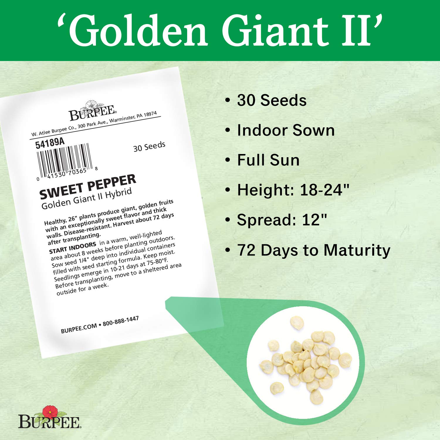Burpee Golden Giant II Sweet Pepper Seeds 30 seeds
