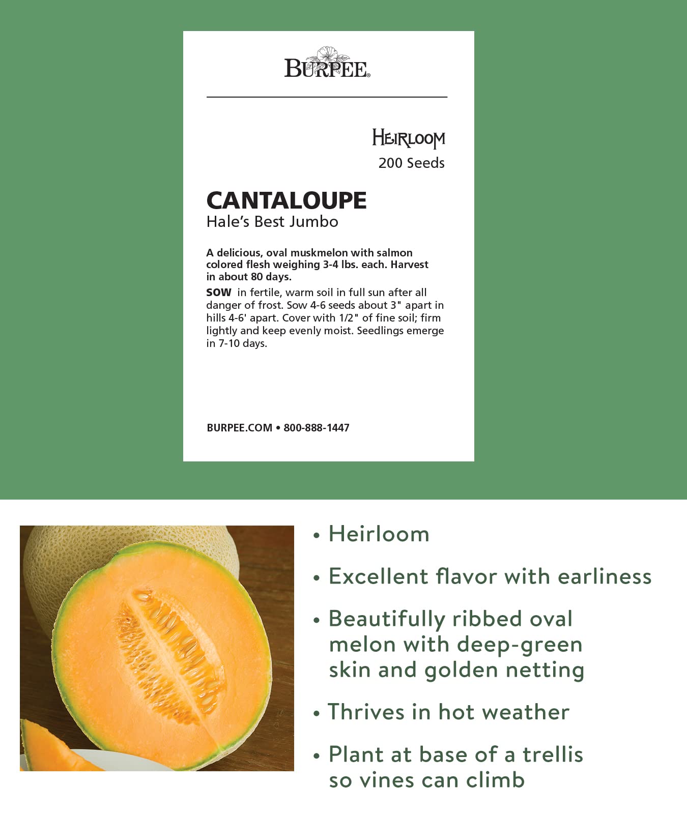 Burpee Hale's Best Jumbo Cantaloupe Melon Seeds 200 seeds