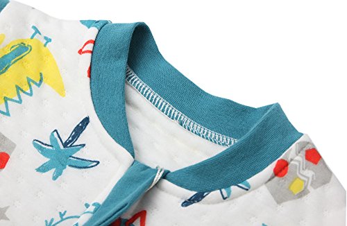 G' abigale Fairy 100% Cotton Cute Dinosaur Baby Sleeping Sack Bag Pajama Set (L, Blue)