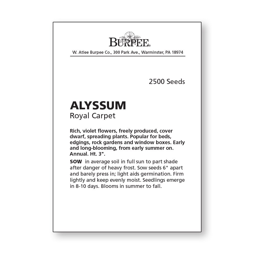 Burpee Royal Carpet Alyssum Seeds 2500 seeds