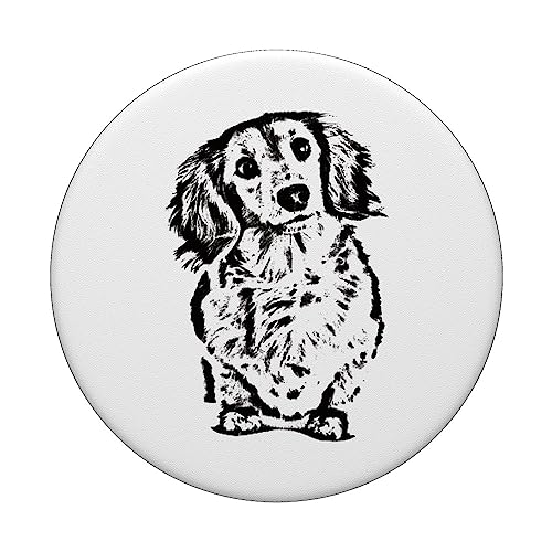 Long Haired Dachshund Cute Doxie Wiener White Black PopSockets Swappable PopGrip
