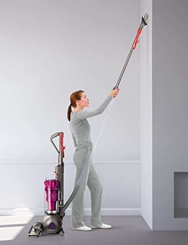 Dyson Bagless Vacuum, Fuschia