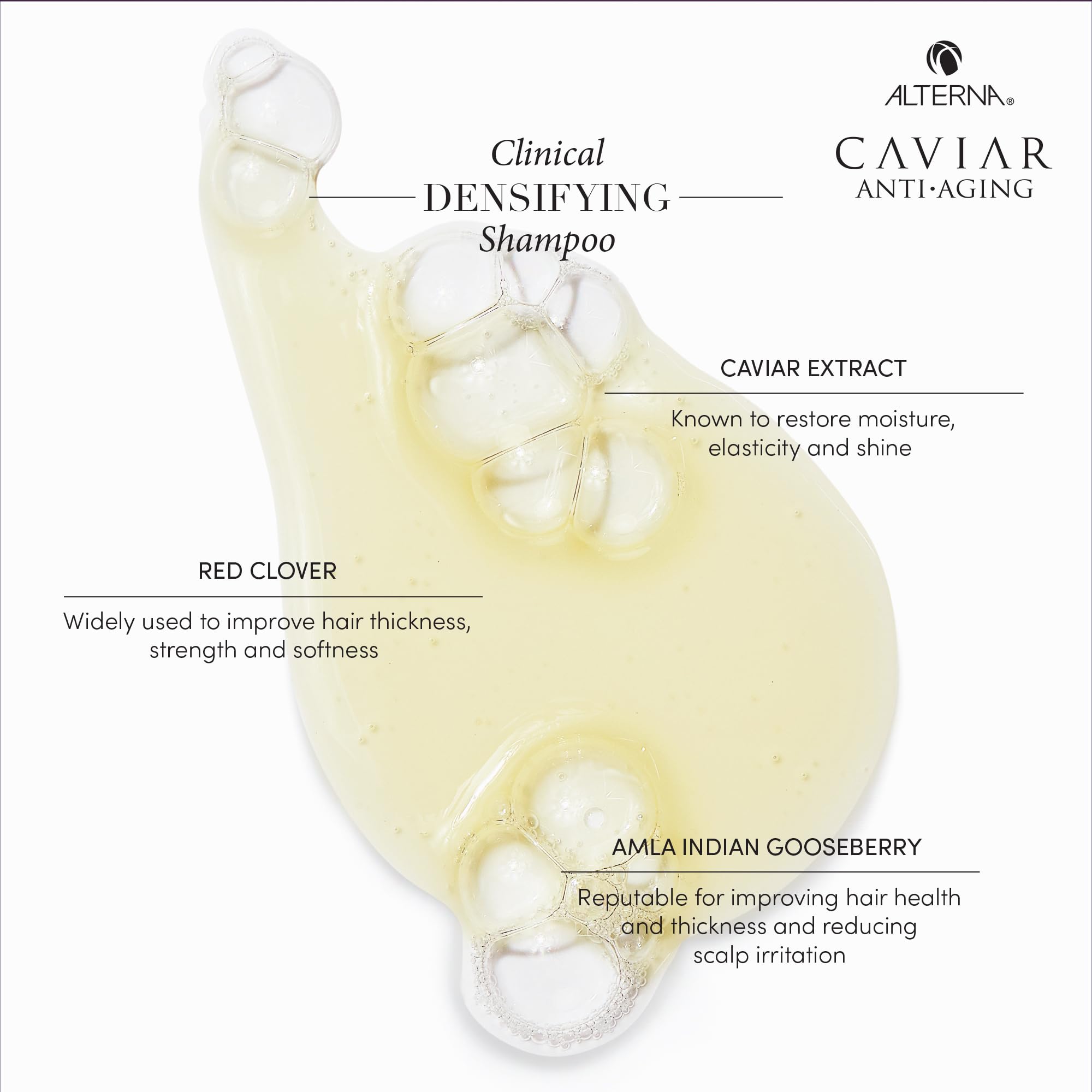 CAVIAR Anti-Aging Clinical Densifying Shampoo 8.5 Fl Oz | For Fine, Thinning Hair | Thickens Hair, Protects Scalp | Sulfate Free