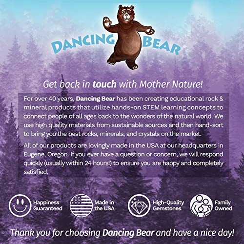 DANCING BEAR FOSSIL COLLECTION Kit (12 Different Types of Specimens): Trilobite, Dinosaur Bone, Shark teeth, Coprolite (fossilized Turtle Poop) Fossil ID Book, Magnifying Glass, STEM Science Set, Made in the USA