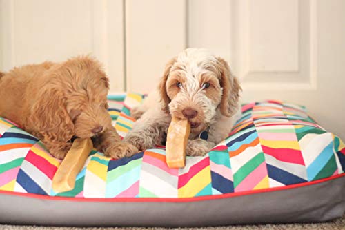 Himal Dog Treat Chew, 100% Natural Long Lasting Yak Chews. Medium