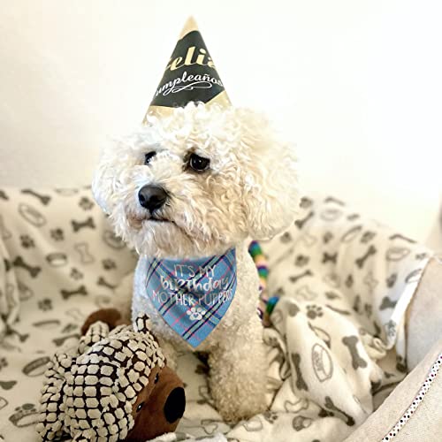 Dog Birthday Bandana, Birthday Boy Puppy Bandana for Small Medium Large Dogs Blue