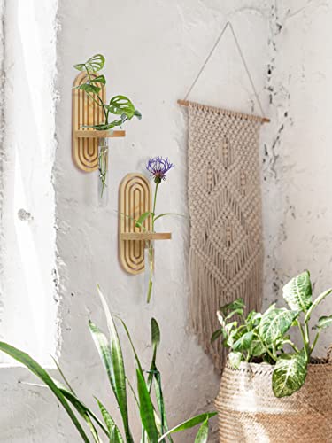 Biubee Plastic Wall Hanging Planter Tubes with Wooden Holders- 4 Set Separate Wall Mounted Propagation Plant Station Stable Hanging Test Tube Vase for Indoor Hydroponics Plants Home Office Decor