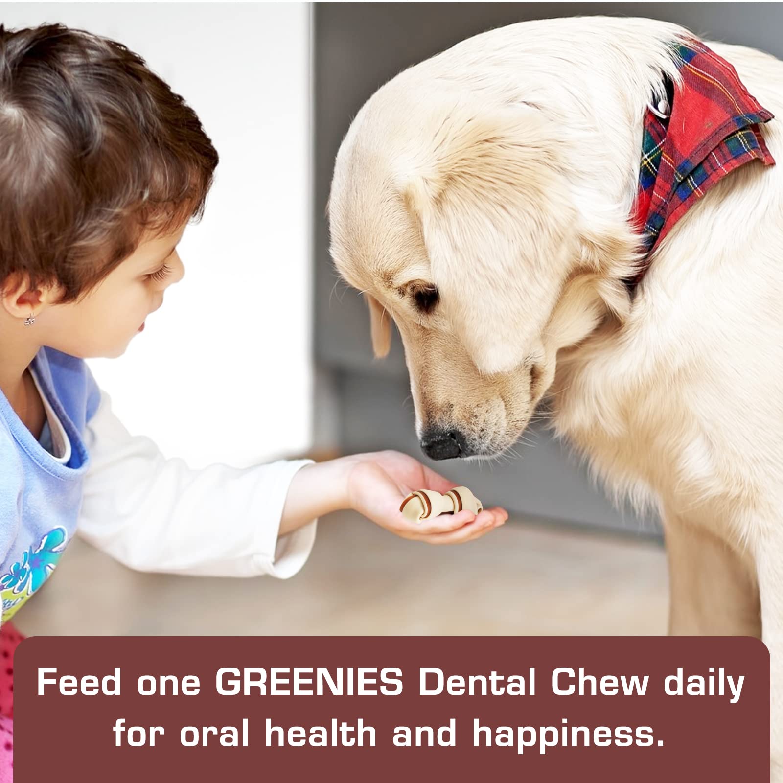 UrbanX HealthyBones Beef Rawhide Free Healthy Mini Chews for Chorkie and Other Small Mixed Breed Dogs Great Foods for Training Rewards, 28 Count