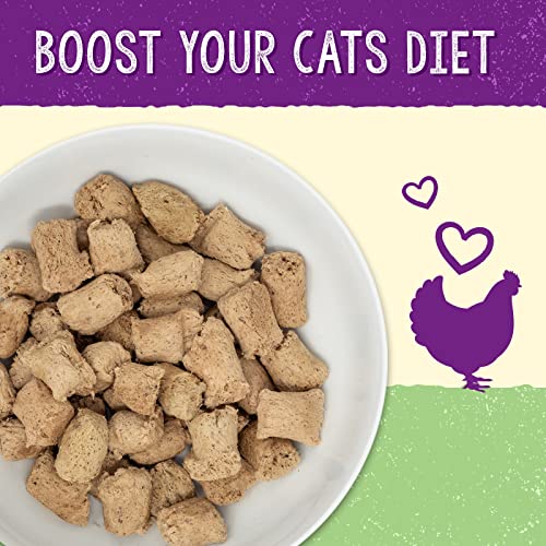 Stella & Chewy’s – Stella’s Solutions Digestive Boost – Cage-Free Chicken Dinner Mixer – Freeze-Dried Raw, Protein Rich, Grain Free Cat Food – 7.5 oz Bag