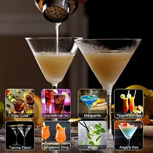Delidge Cocktail Shaker Small Martini Shaker Stainless Steel Small Drink Shaker with Strainer and Lid Top, Mini Martini Shaker Bar Shaker (8.4oz/250ml,small) Shakers Bartending