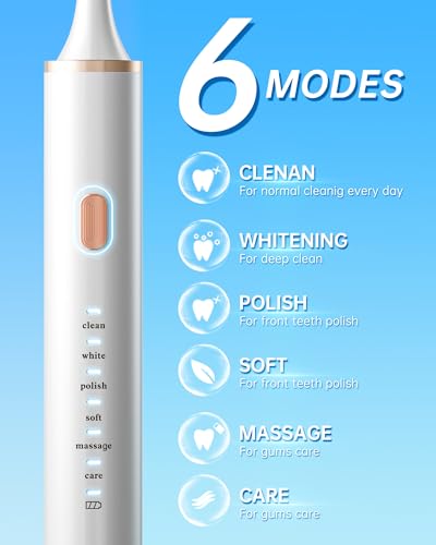 Aneebart Sonic Electric Toothbrush 2 Pack,Electric Toothbrush for Adults,Travel Electric Toothbrush Includes 12 Brush Heads,IPx8 Waterproof (Black & White )