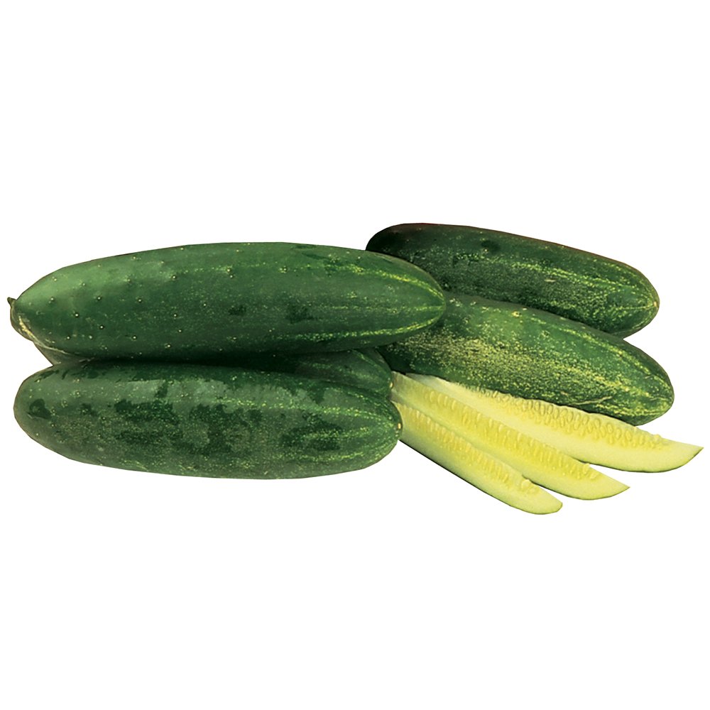 Burpee Hybrid II Slicing Cucumber Seeds 30 seeds