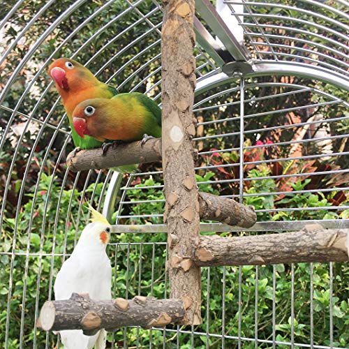 Bird Perch Nature Wood Stand for 3-4pcs Small Medium Parrots (S)