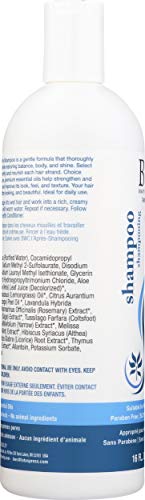 Beauty Without Cruelty Shampoo, Daily Benefits 16fl oz